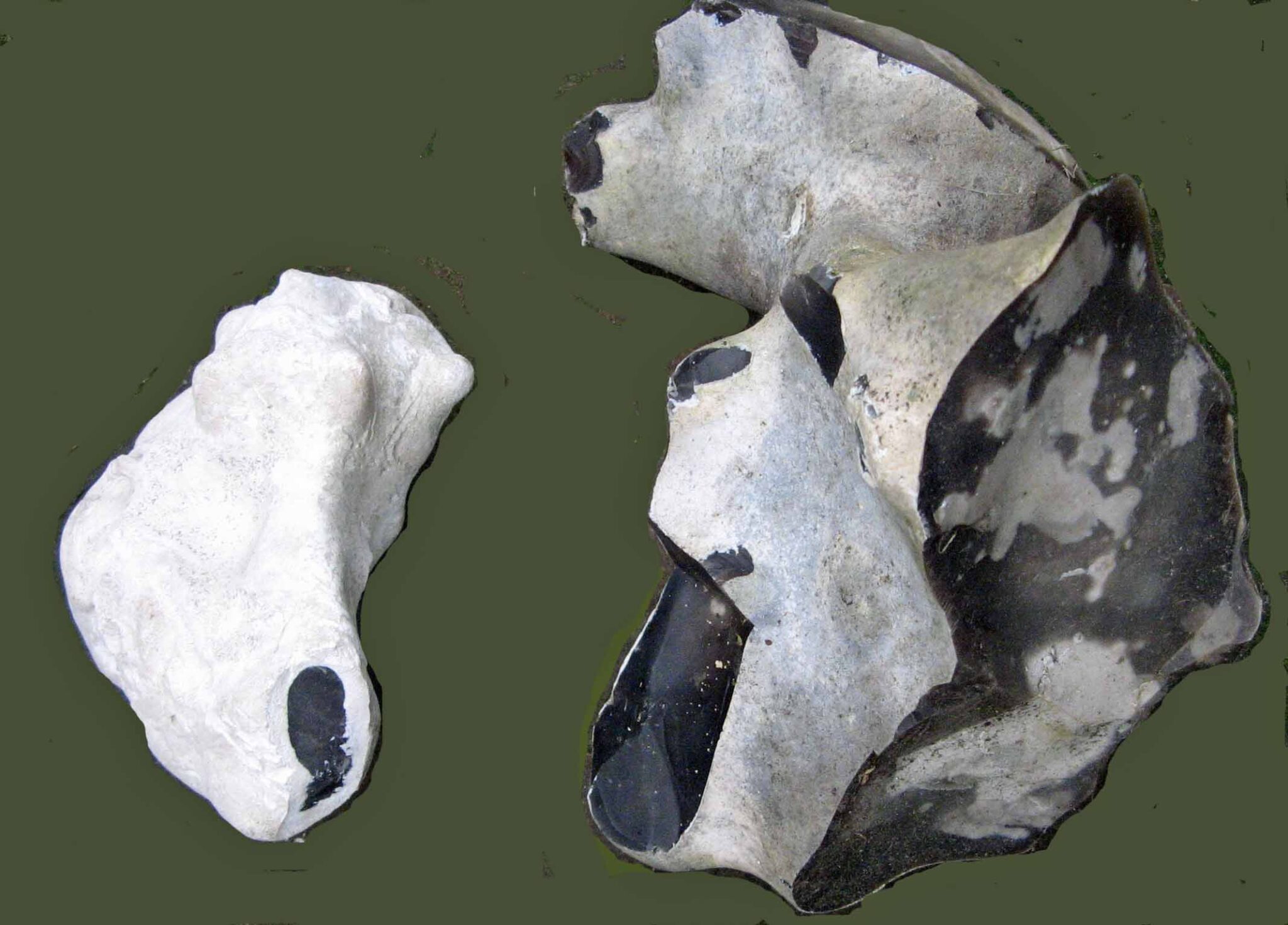Puddingstone formation – East Herts Geology Club